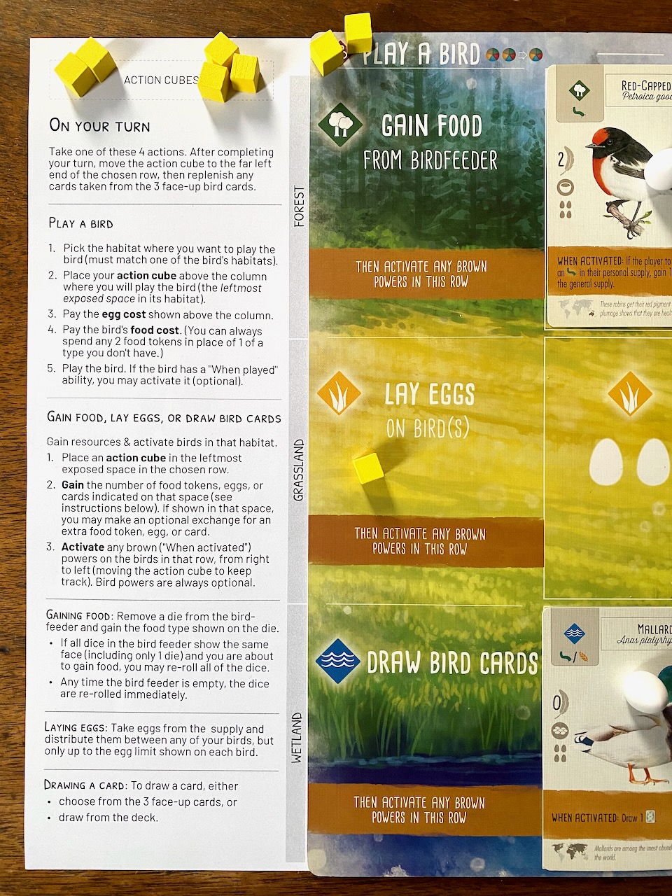 Wingspan Reference Card (player aid & teaching aid) – Utix Games